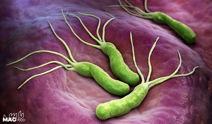 علائم انگلها در بزرگسالان زمانی که بدنتان پر از انگل شده است - پارس مگ